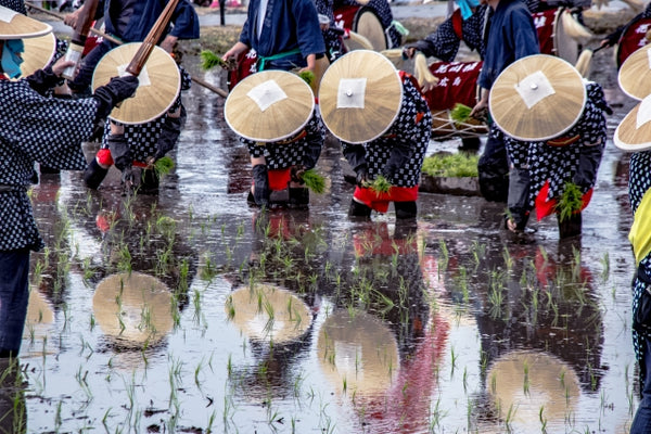 Mibu No Hana Taue – Hiroshima’s UNESCO-Recognized Rice Planting Ritual ...