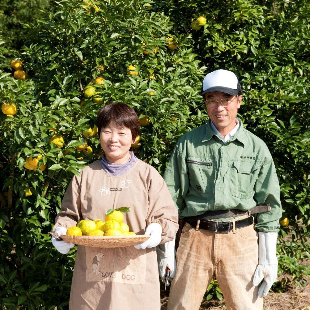 Yuzu Zest Powder - Kokoro Care Packages